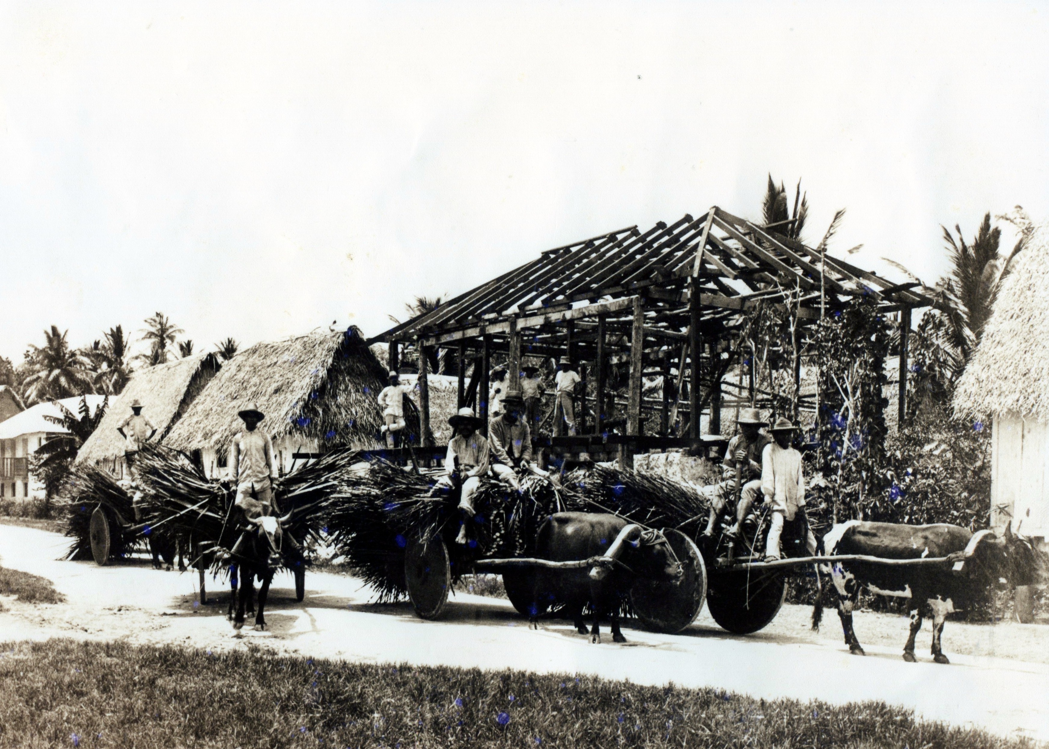 CHamoru men, in pre-World War II Guam bringing higai